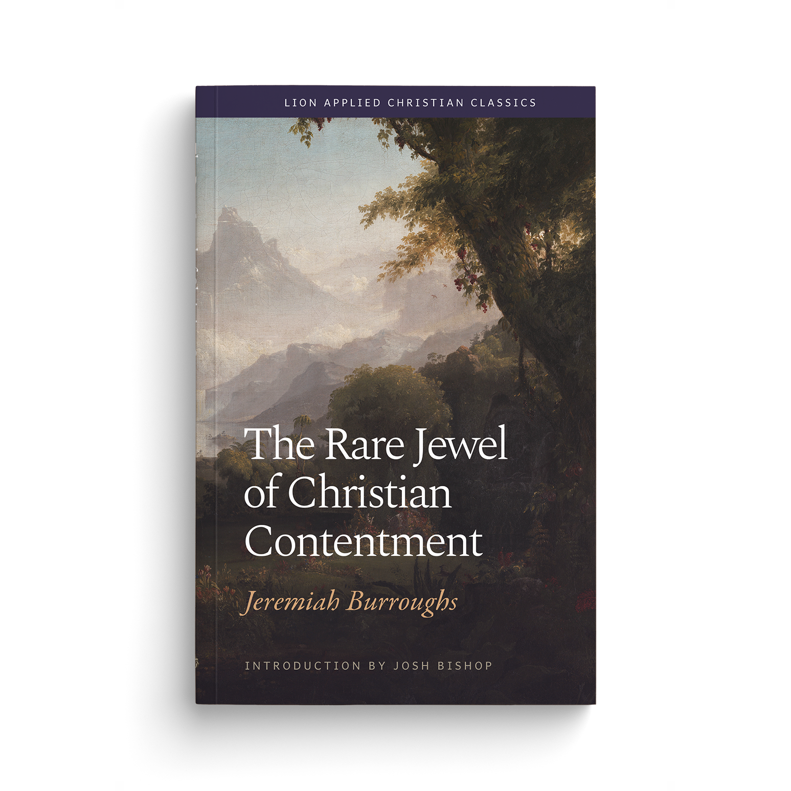The Rare Jewel of Christian Contentment – Lion Press